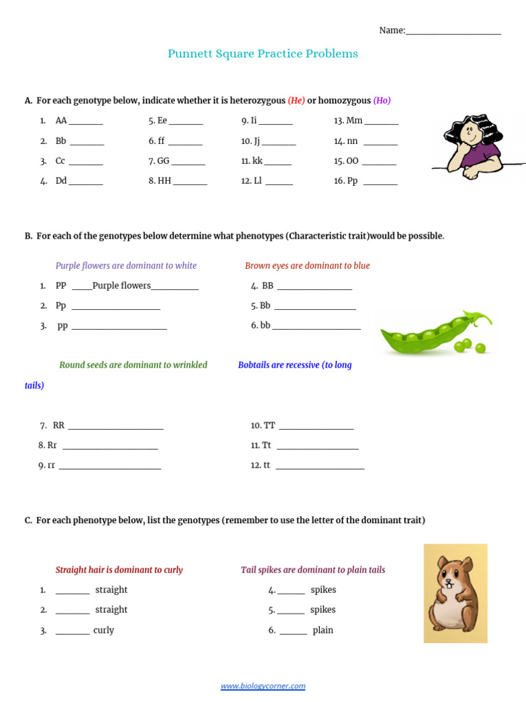 Punnett Square Practice Problems | PDF | Genotype | Zygosity
