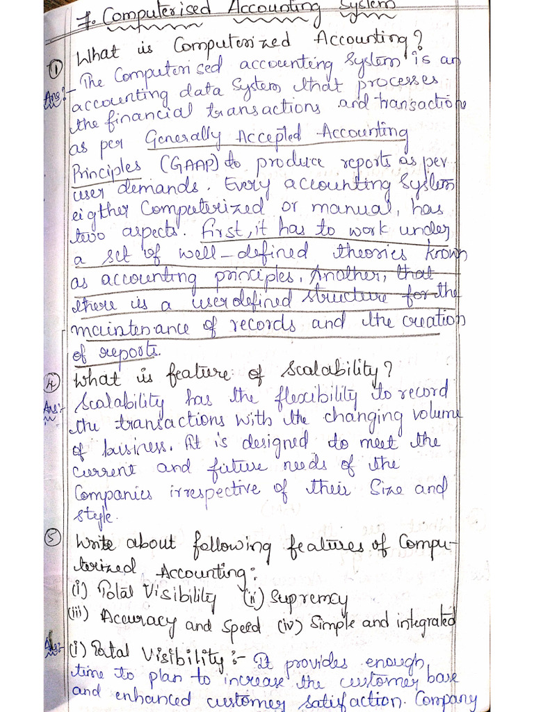 Computerised Accounting Theory | PDF