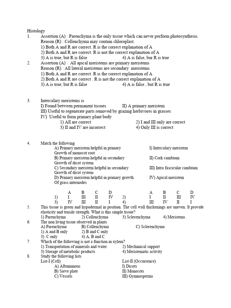Plant Tissue Types and Functions Quiz | PDF | Tissue (Biology) | Plant Stem