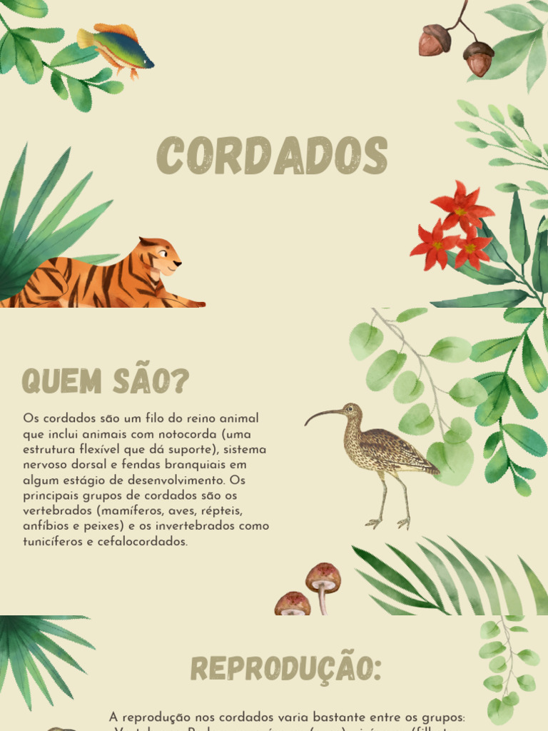 Cordados: Características e Exemplos | PDF | Vertebrados | Peixes