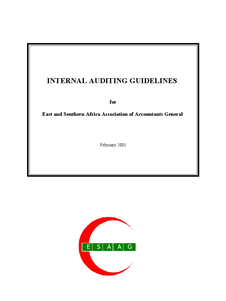ESAAG Internal Audit Guidelines | PDF | Internal Audit | Audit Committee