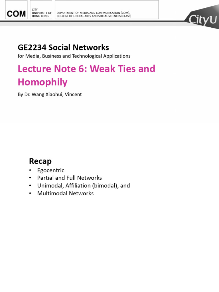 Weak Ties and Homophily in Social Networks | PDF | Social Network ...