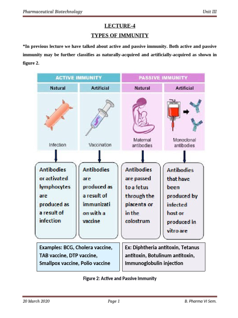 Types of Immunity in Biotechnology | PDF | Immune System | Humoral Immunity