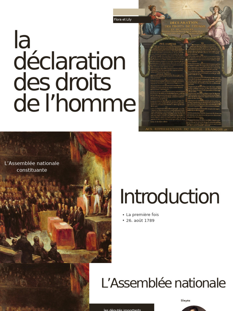 Histoire de la Déclaration des Droits de l'Homme | PDF | Droits ...