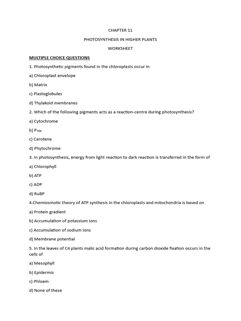 CH 11 Photosynthesis Worksheet | PDF | Photosynthesis | Chloroplast