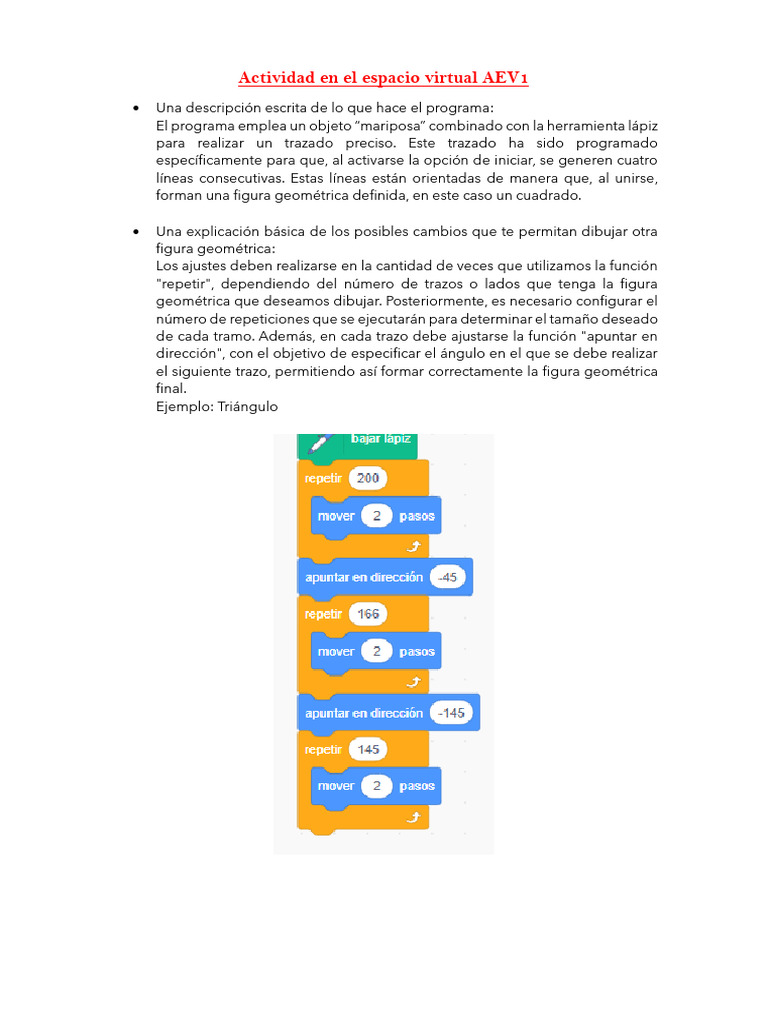 Actividad en El Espacio Virtual AEV1 | PDF