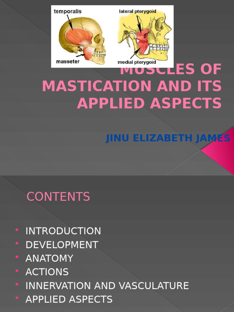 Muscles of Mastication Overview | PDF | Human Head And Neck | Primate ...