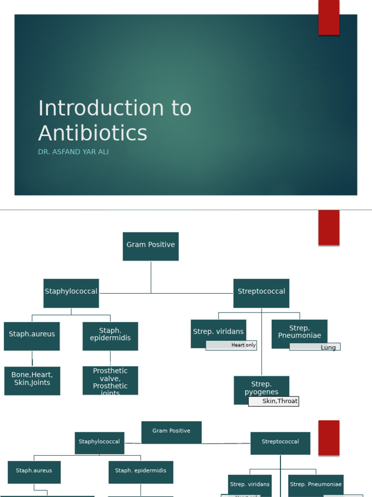 Intro To Antibiotics | PDF | Antibiotics | Microbiology