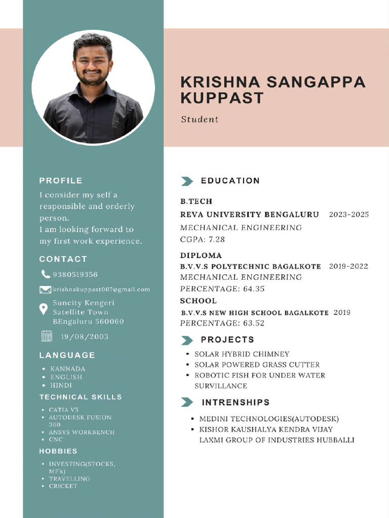 Krishna SK Resume | PDF