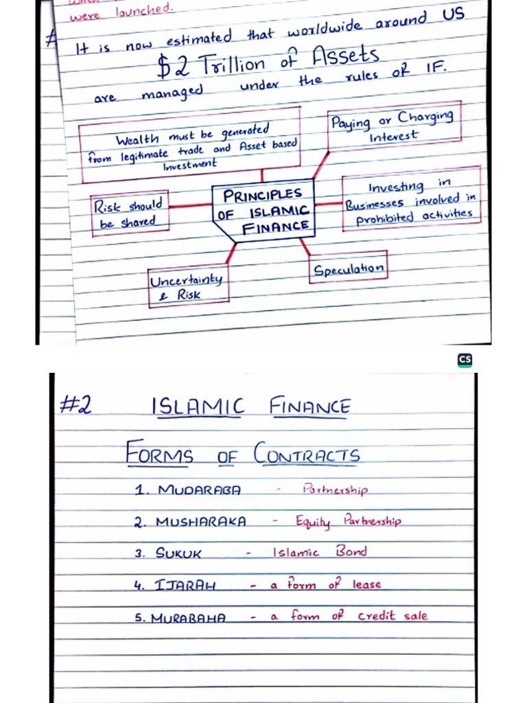 Islamic Finance | PDF
