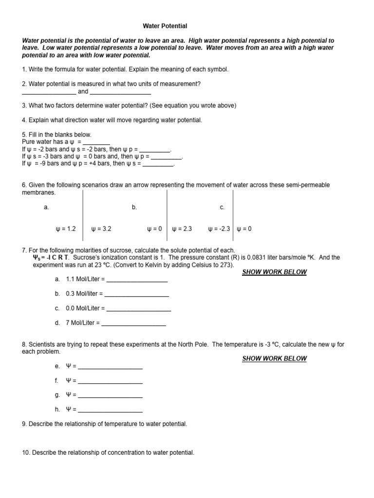 Water Potential Practice Problems 1 | PDF