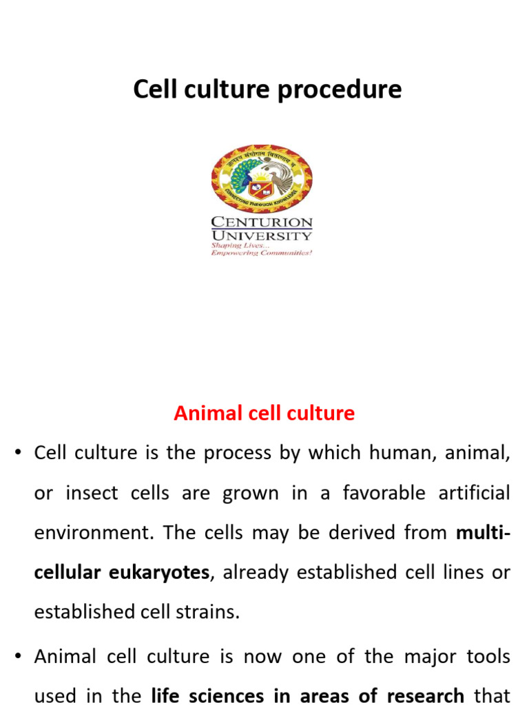 Cell Culture Procedure | PDF | Cell Culture | Epithelium