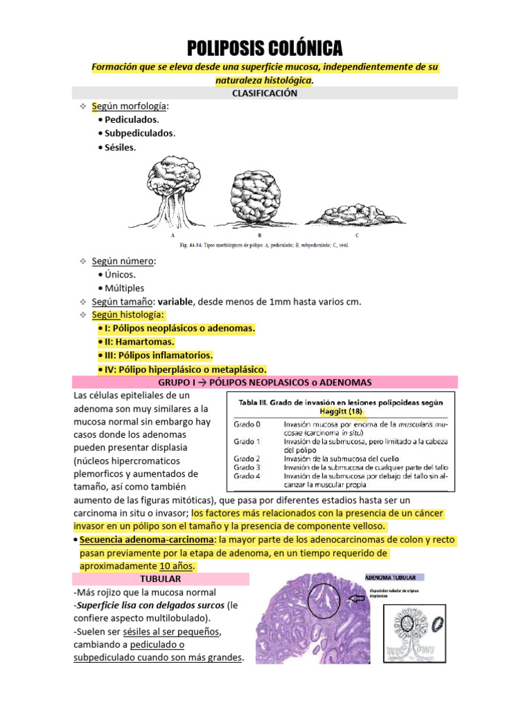Clasificación y Tratamiento de Pólipos Colónicos | PDF | Intestino ...