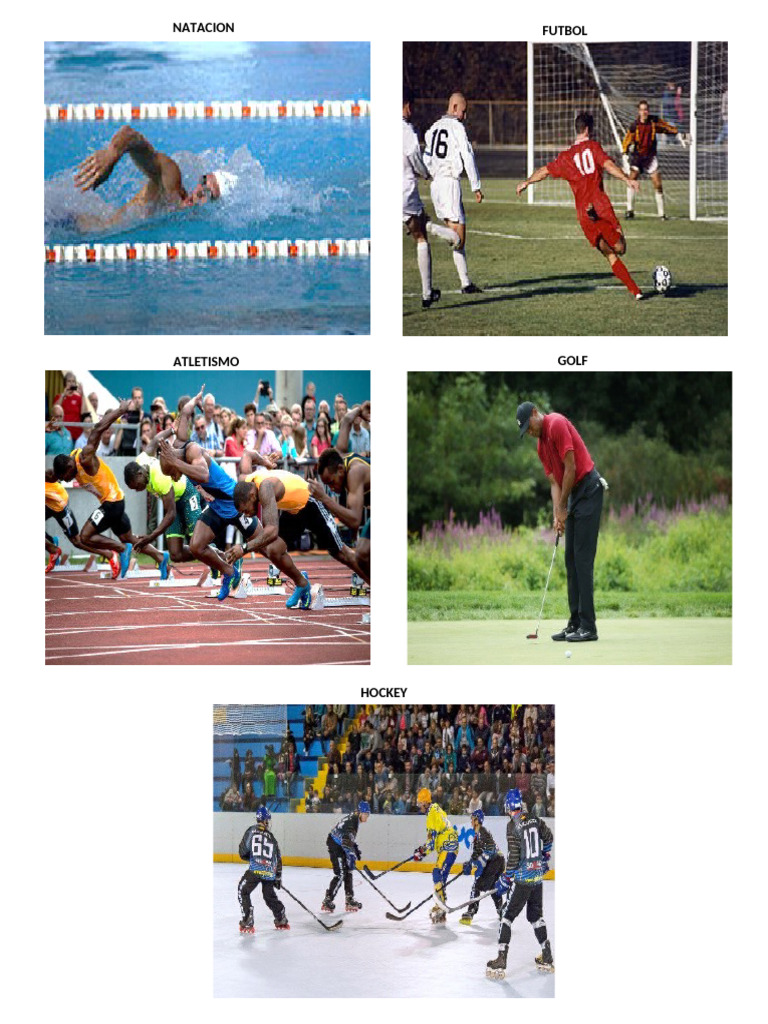 Deportes populares: fútbol, natación y más | PDF | Deporte del ...