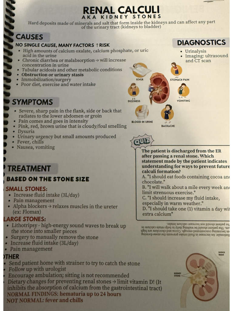 Renal Calculi | PDF