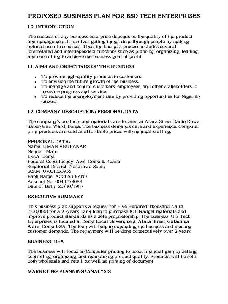 Bsd Business Plan (1) | PDF | Business | Business Economics