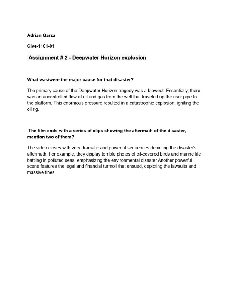 Assignment # 2 - Deepwater Horizon Explosion | PDF