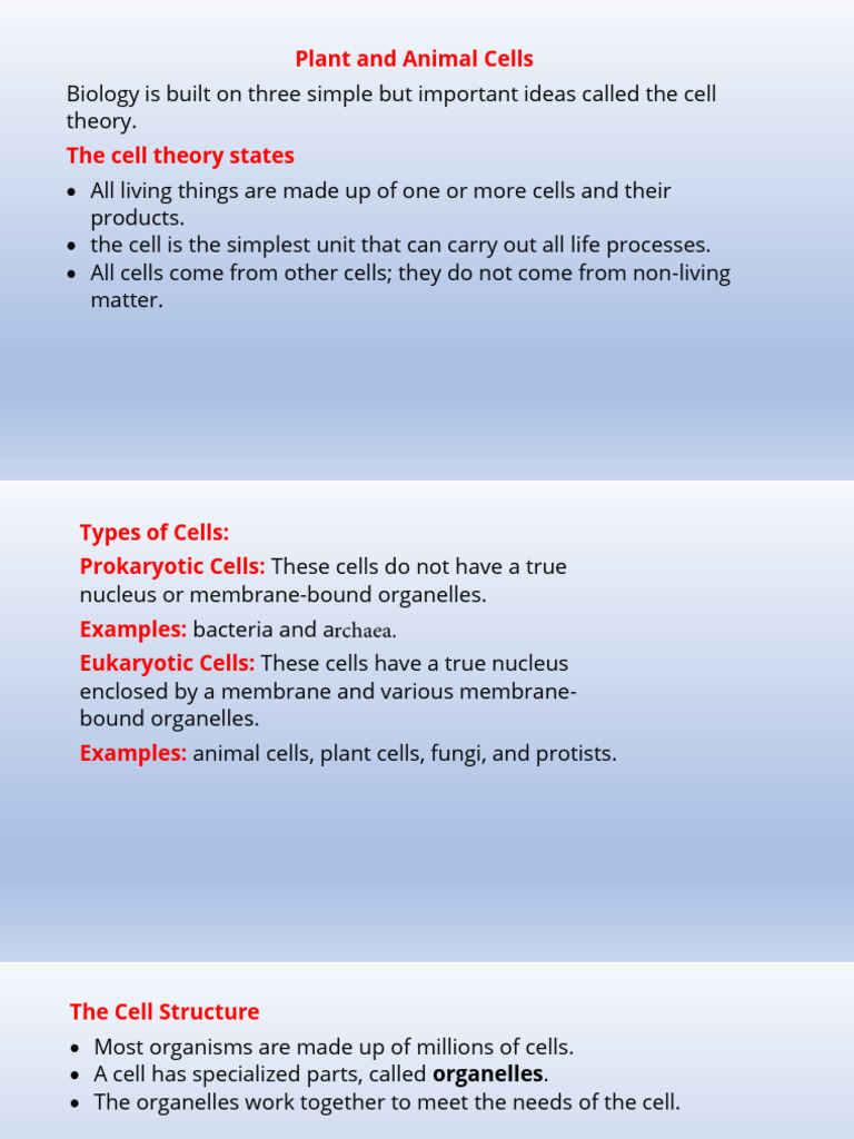Plant and Animal Cells | PDF | Cell (Biology) | Organelle