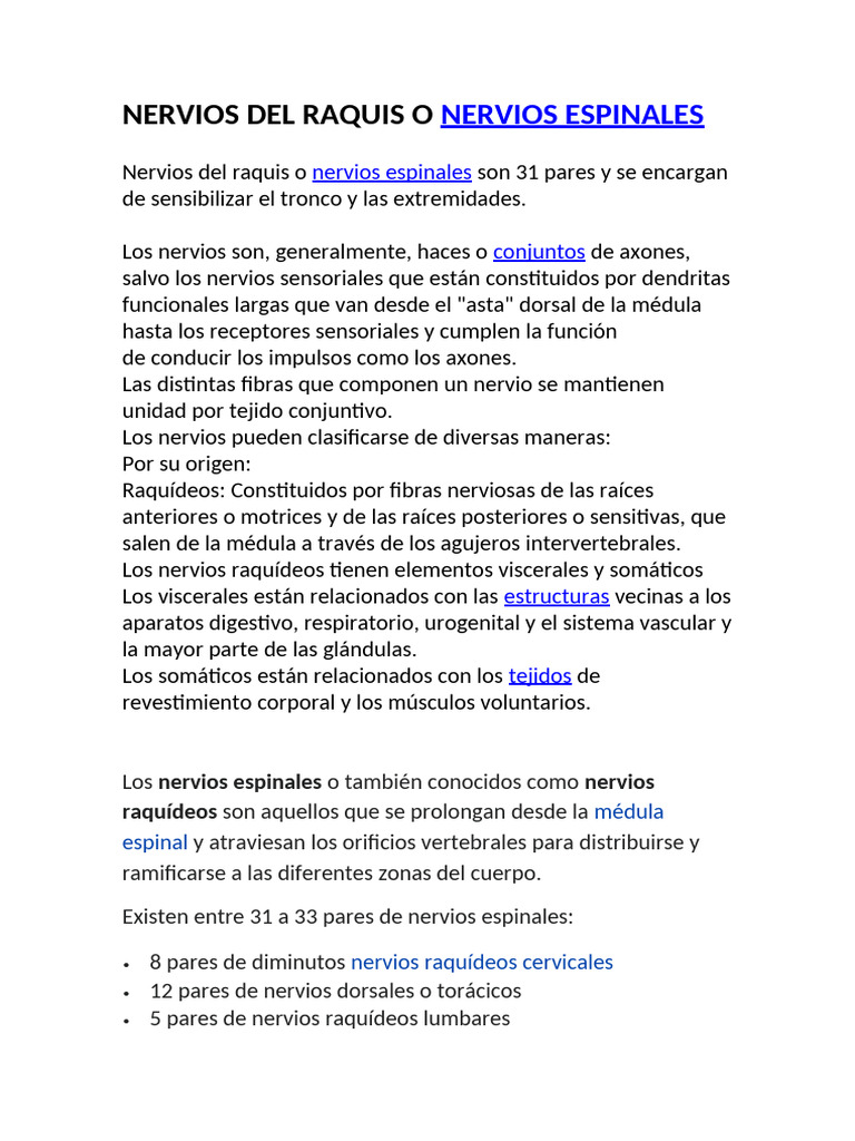 Nervios Espinales: Estructura y Función | PDF