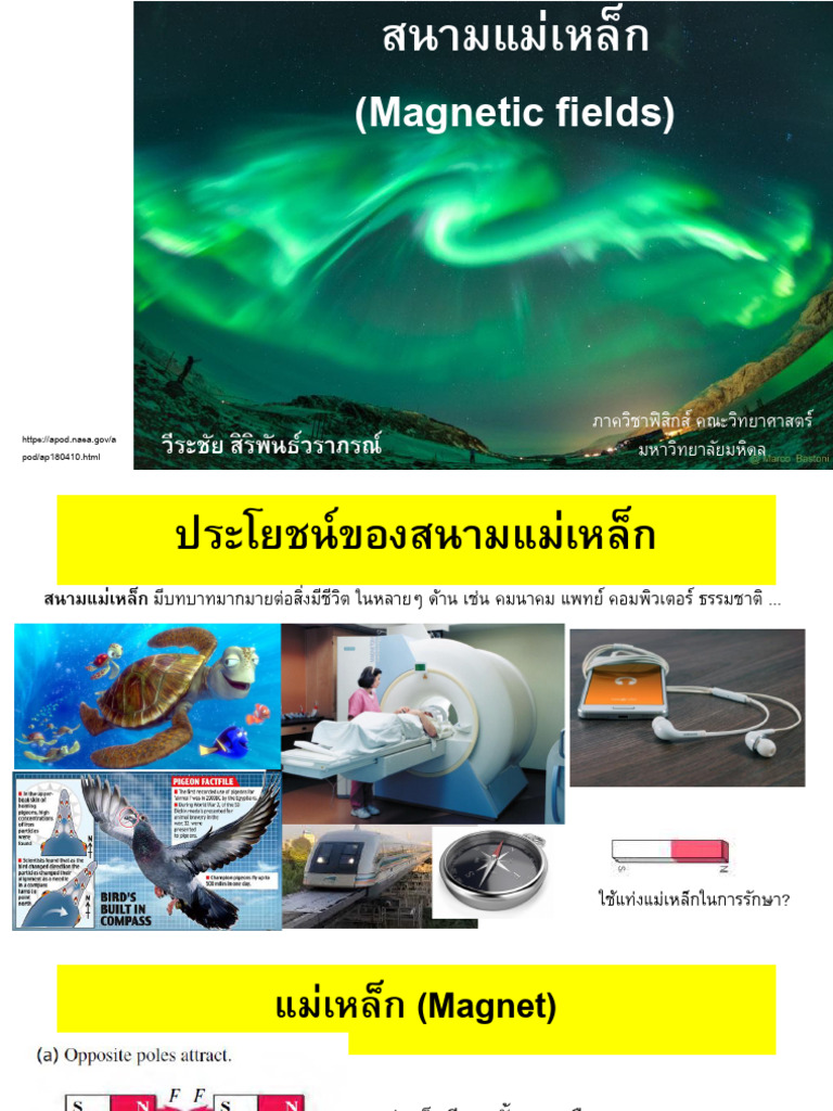 05 MagneticField Feb2025 | PDF