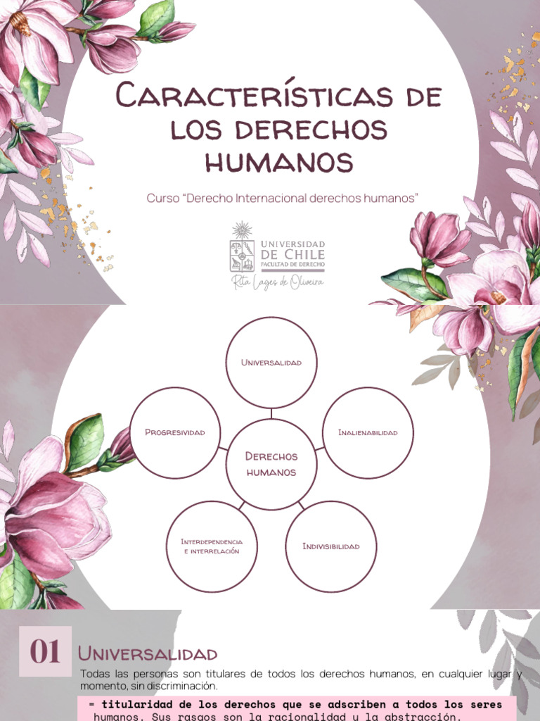 Presentaci N PPT Caracter Sticas de Los Derechos Humanos | PDF | Derechos humanos | Justicia