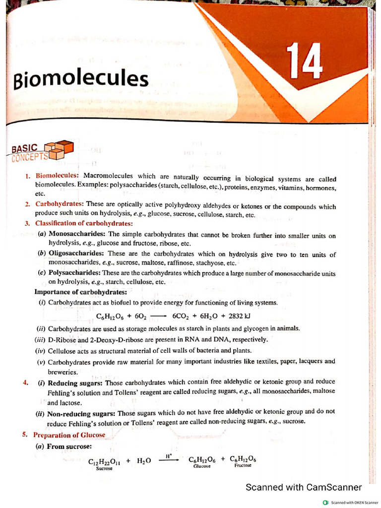 Biomolecules Note | PDF
