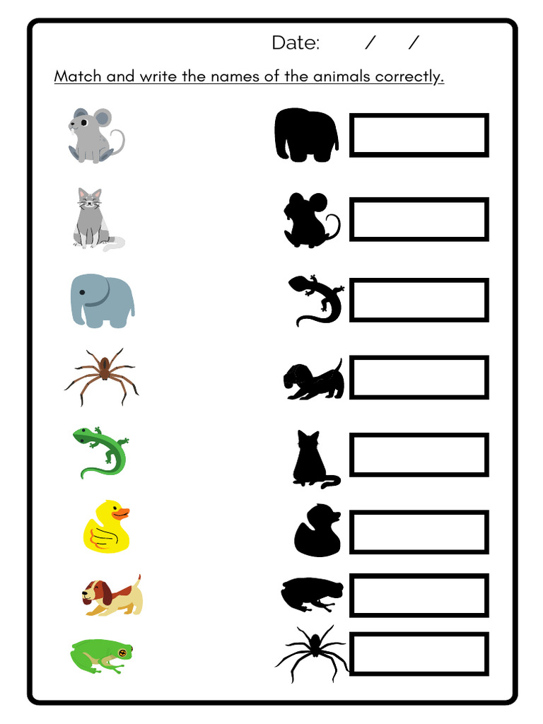 Animal Worksheet | PDF