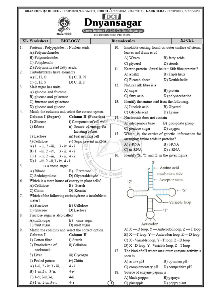Biomolecules Worksheet for MHT-CET | PDF | Carbohydrates | Enzyme