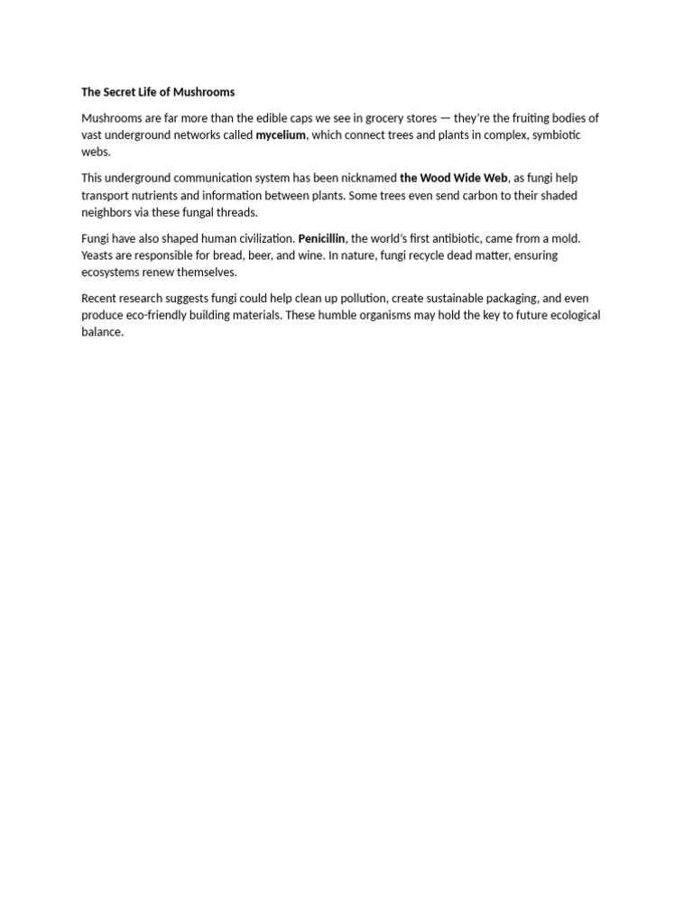 The Hidden World of Mycelium | PDF
