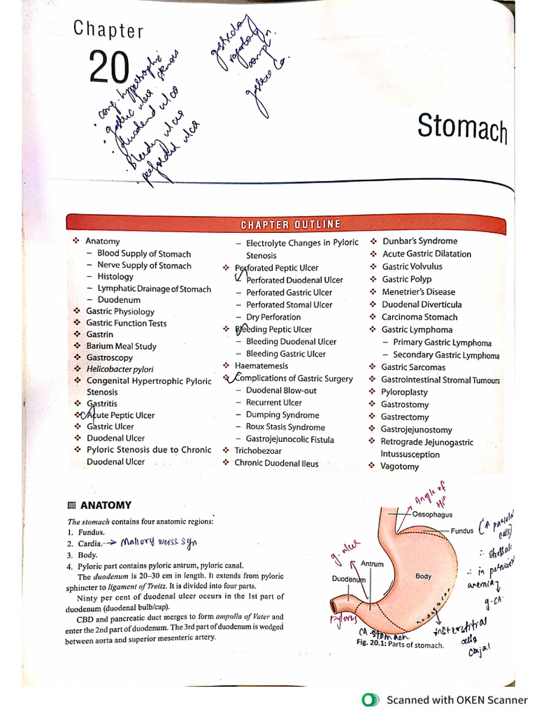 Stomach Srb | PDF
