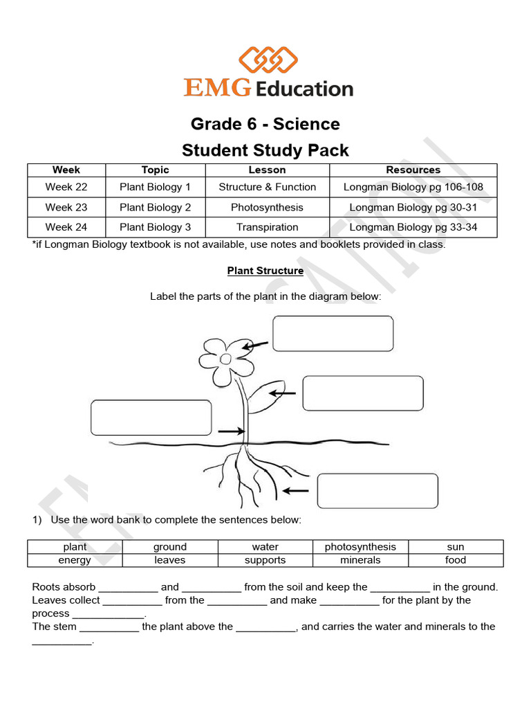 Grade 6 Plant Biology Study Guide | PDF | Plants | Leaf