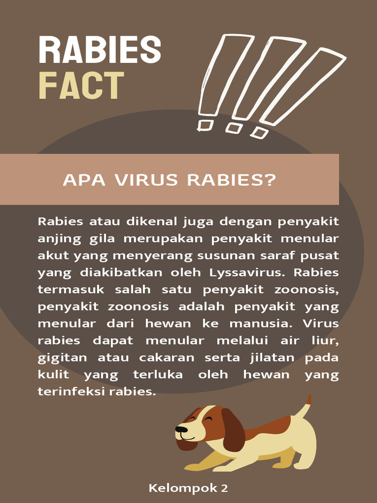 Rabies | PDF