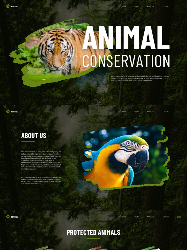 Green Black Modern Animal Conservation Presentation.pdf | PDF