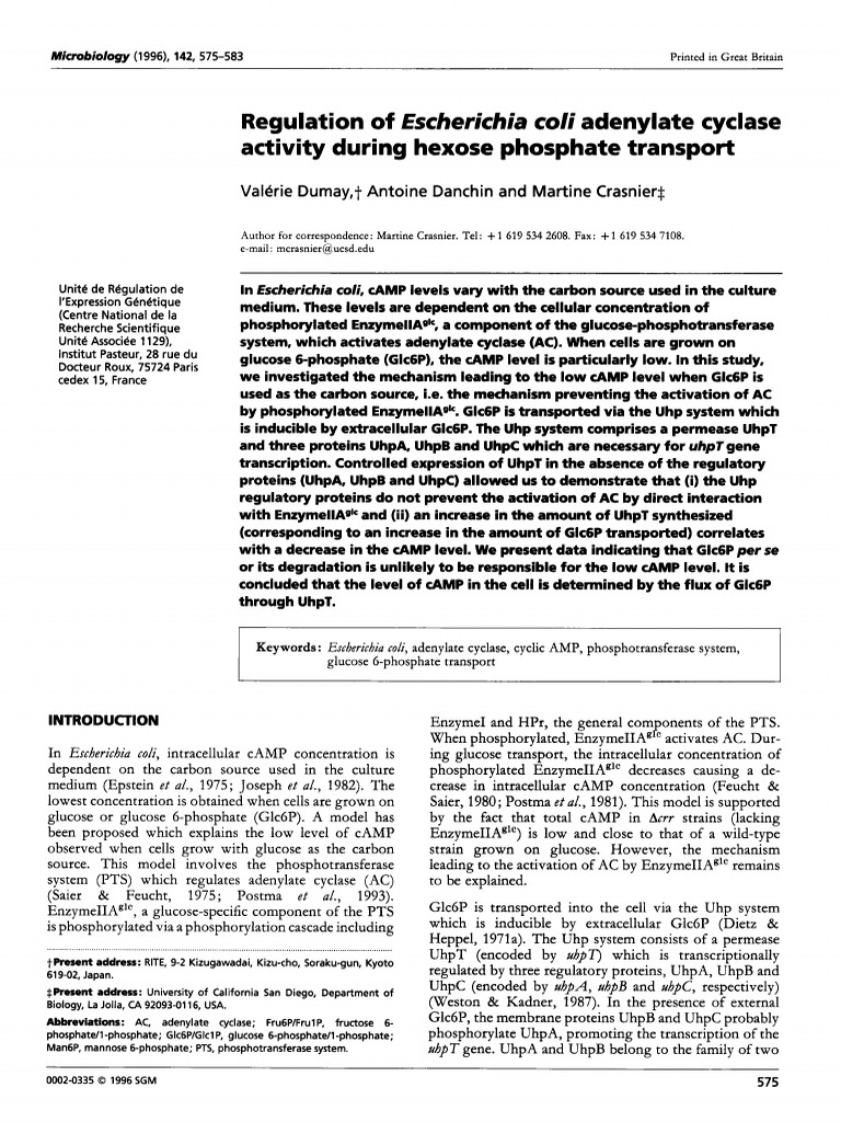 1996 - E. Coli Adenylate Cyclase Activity During Hexose ...
