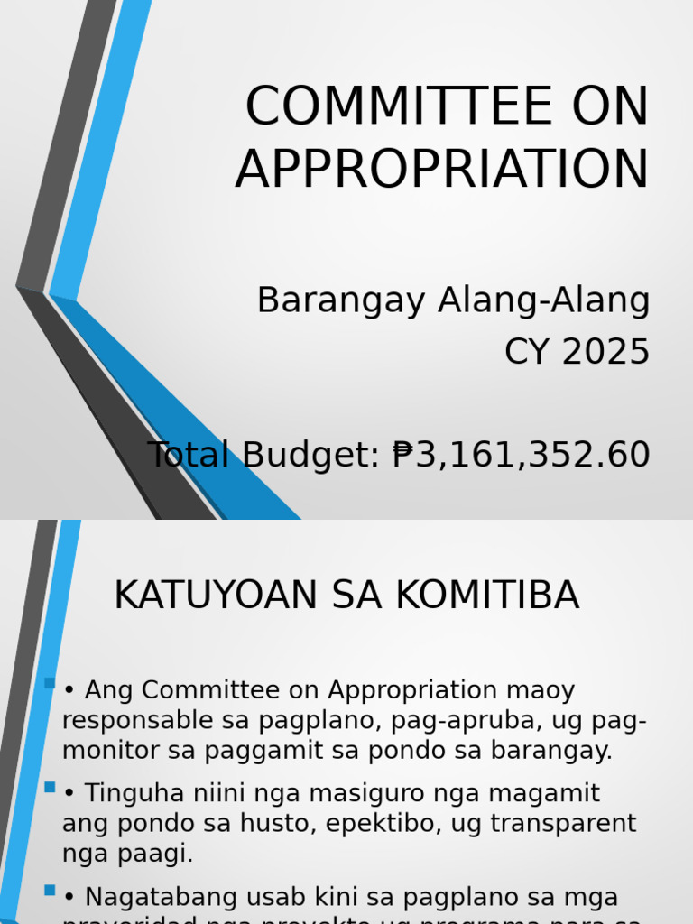Committee On Appropriation Barangay Alang Alang CY2025 | PDF