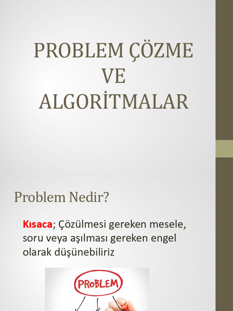 Problem Cozme Ve Algoritmalar | PDF