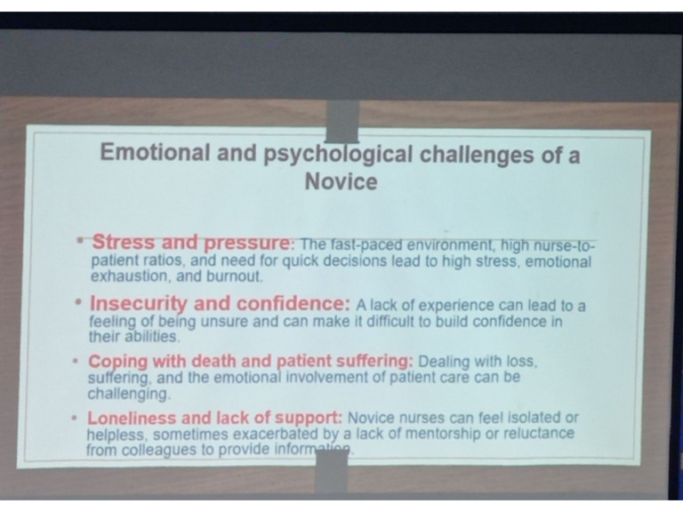 Novice To Expert Nurse | PDF