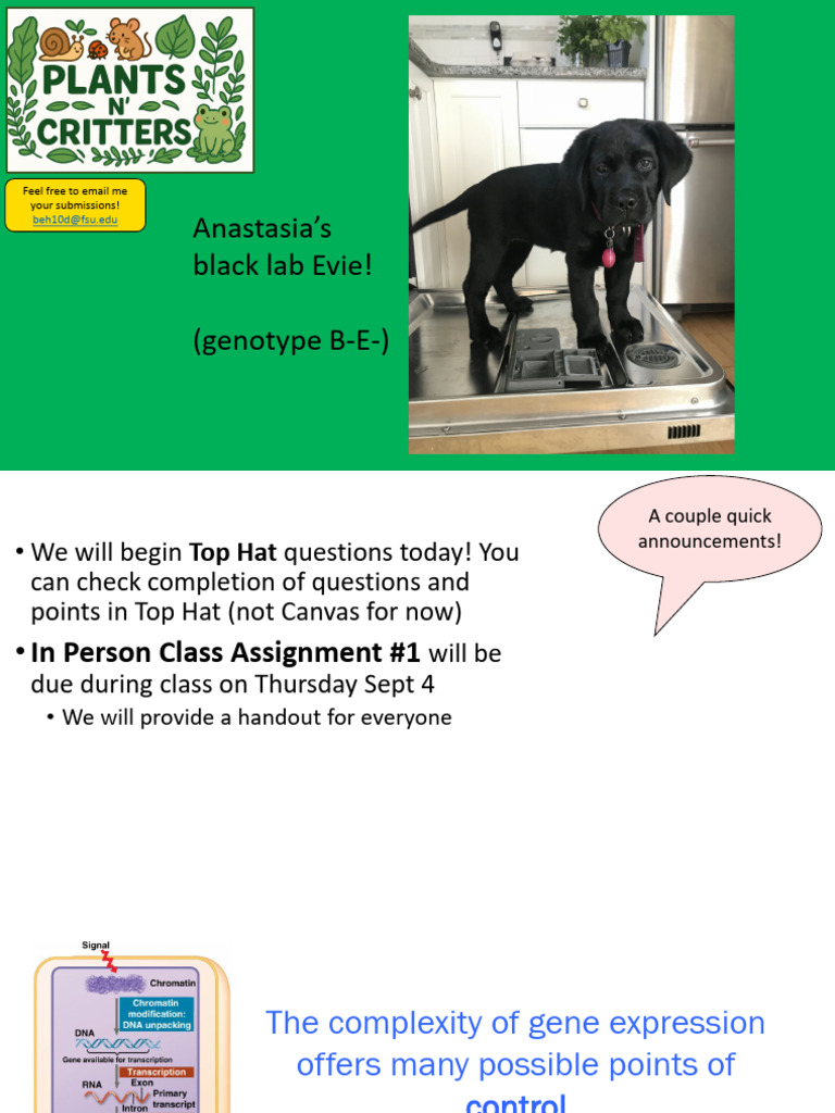 Unit 1 Lesson 3_Animal Dev 1 fall 2025 student | PDF | Fertilisation ...