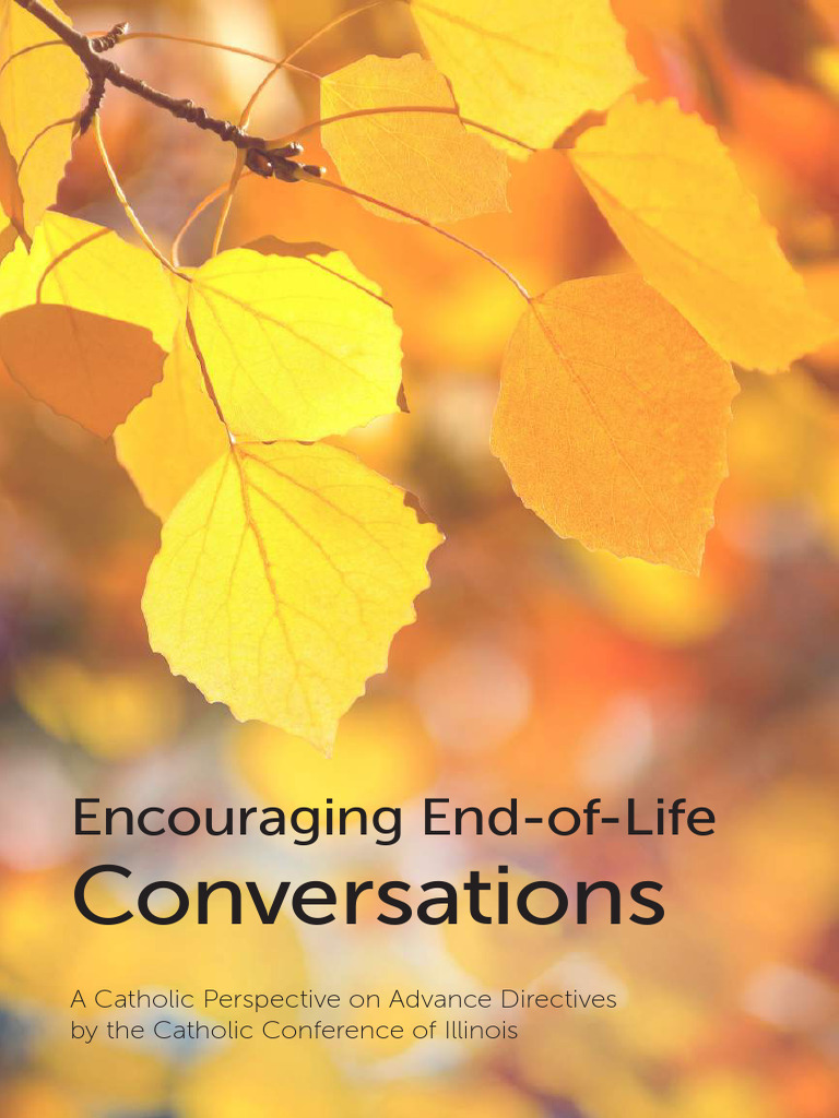 Advance Directives Brochure ENGLISH FINAL Fall2016 | PDF | End Of Life ...