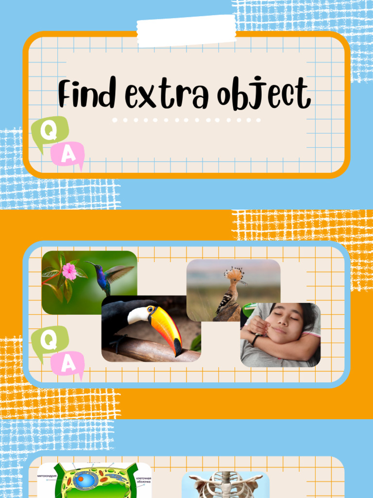 Find the Fraction Slides Activity Math Presentation_20250915_100156 ...