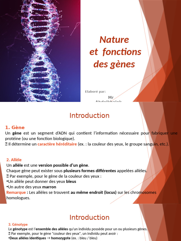 Nature et fonctions des gènes | PDF | Dominance (Génétique) | Génotype