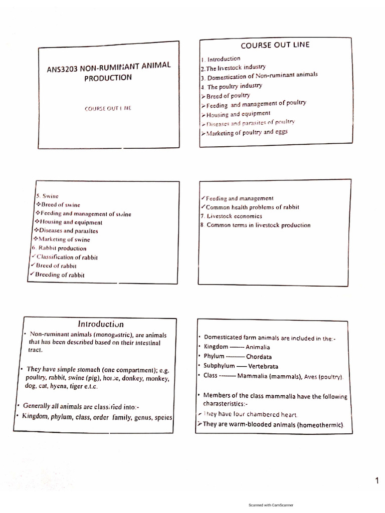 Non Ruminant Lect 1 | PDF