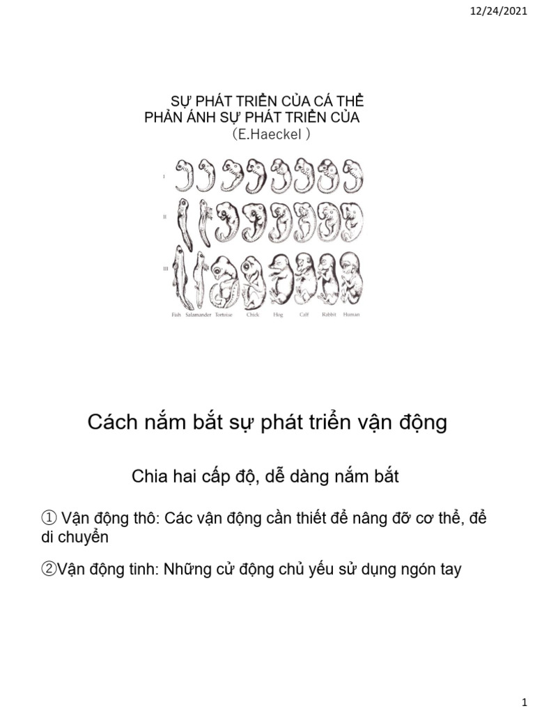 1-2 Su Phat Trien Va Thay Doi Cua Nao Bo | PDF