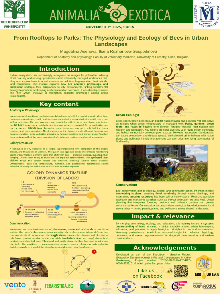 Animalia Exotica - Poster | PDF | Honey Bee | Pollinators