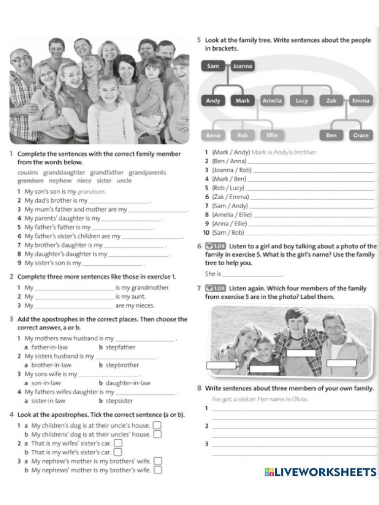 Family Description 2 (Exercises) | PDF