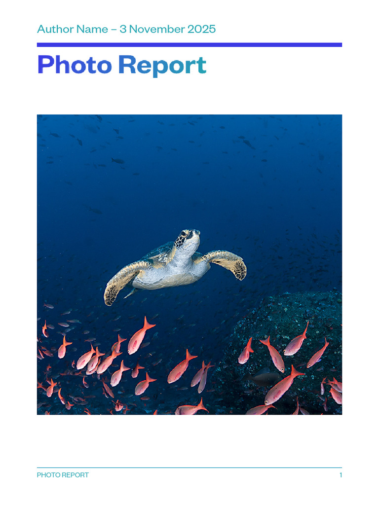 Photo Report Template Guide | PDF