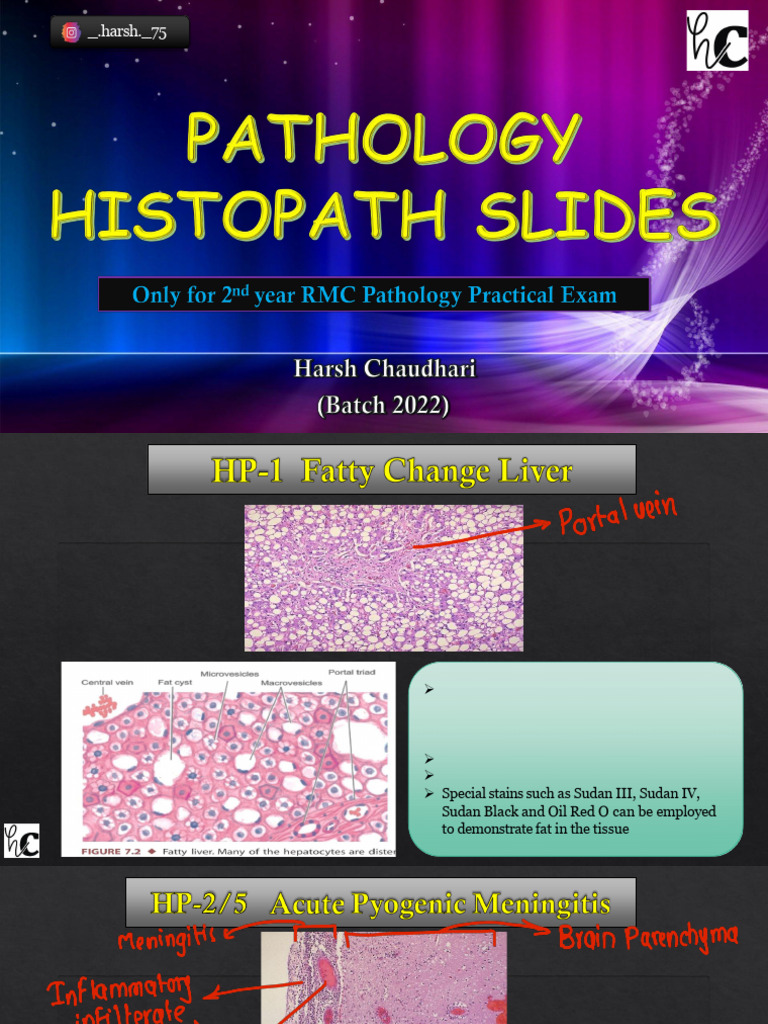 HistoPath Slides Final 241228 113157 | PDF | Epithelium | Lung