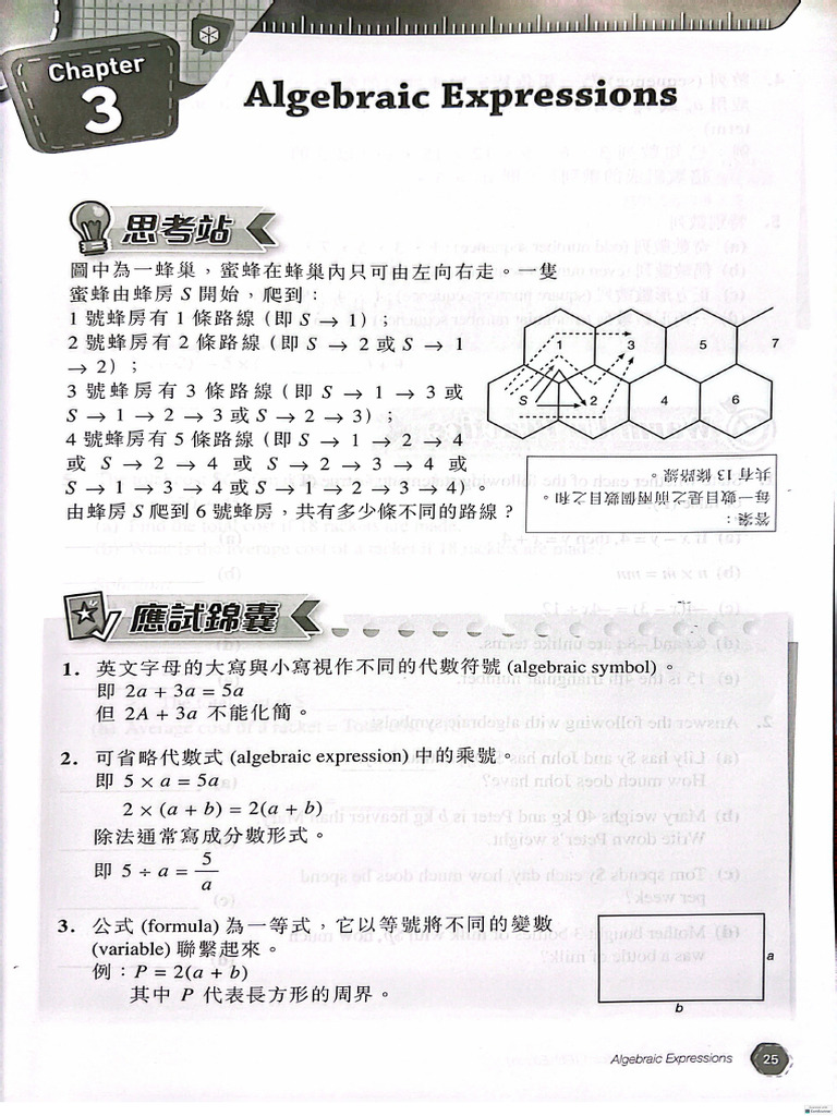 3 Algebraic Expressions | PDF