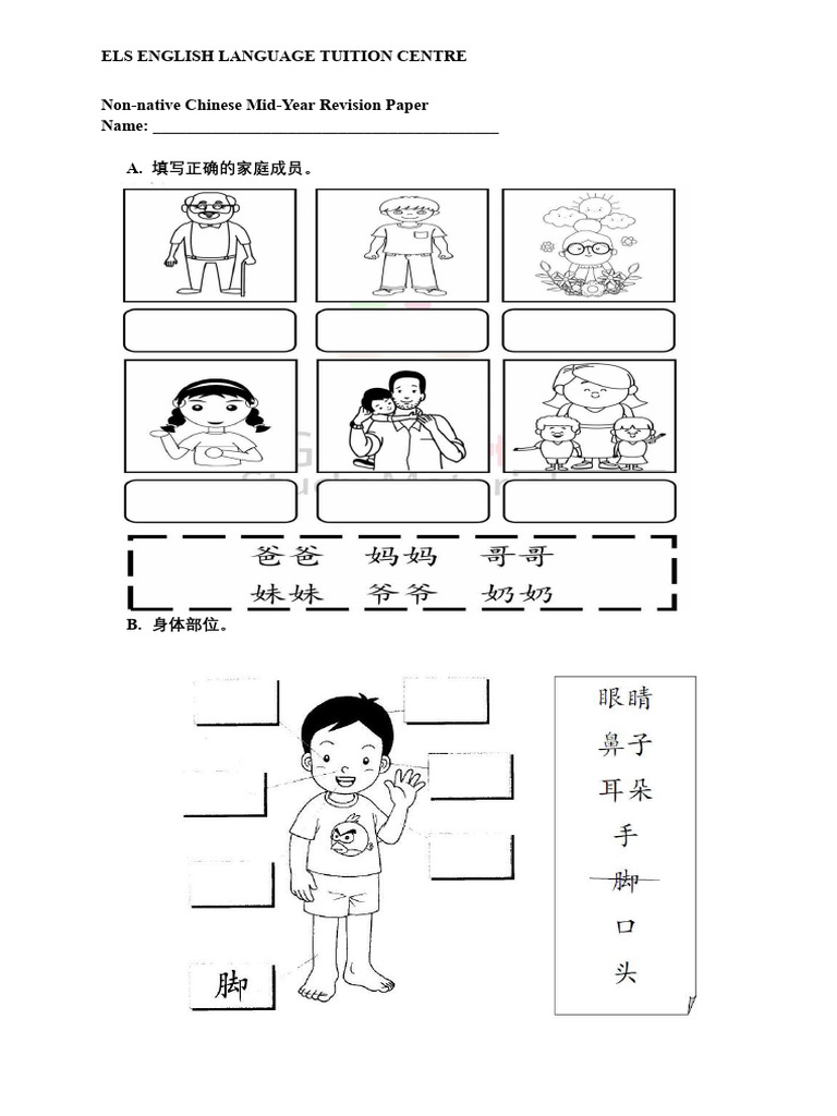 Revision Chinese (June) | PDF