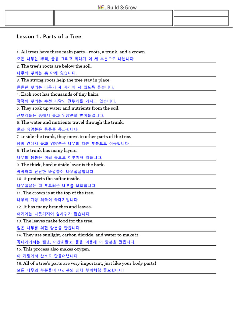 Insight Link 1 Translation Worksheet AK PDF | PDF